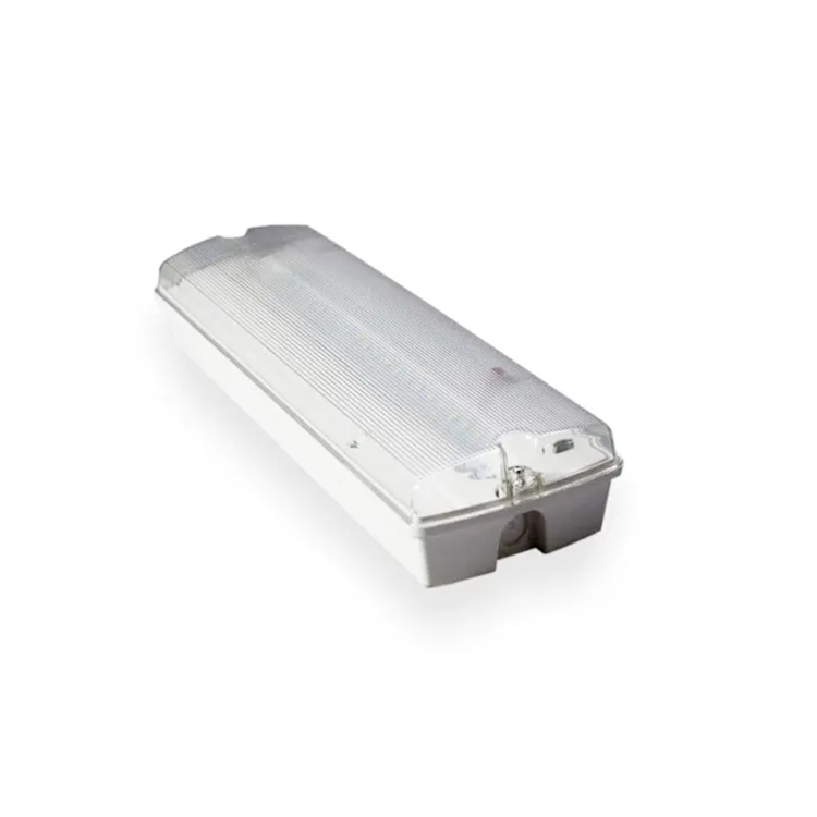 Waterproof surface mounted emergency lights 3W - Eurolight